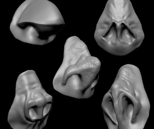 ArtStation - 20 Noses with high poly and low poly 3D model | Resources