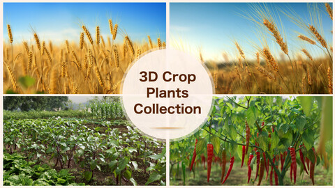 ArtStation - 3D Crop Collection | Resources