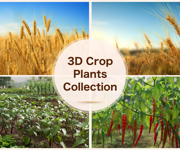 ArtStation - 3D Crop Collection | Resources