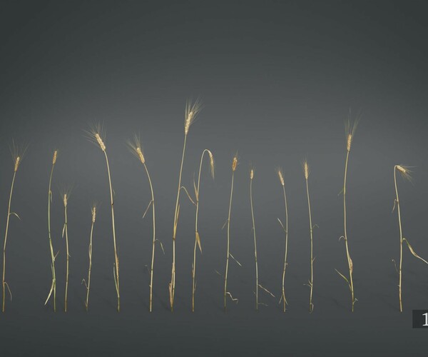 ArtStation - 3D Crop Collection | Resources