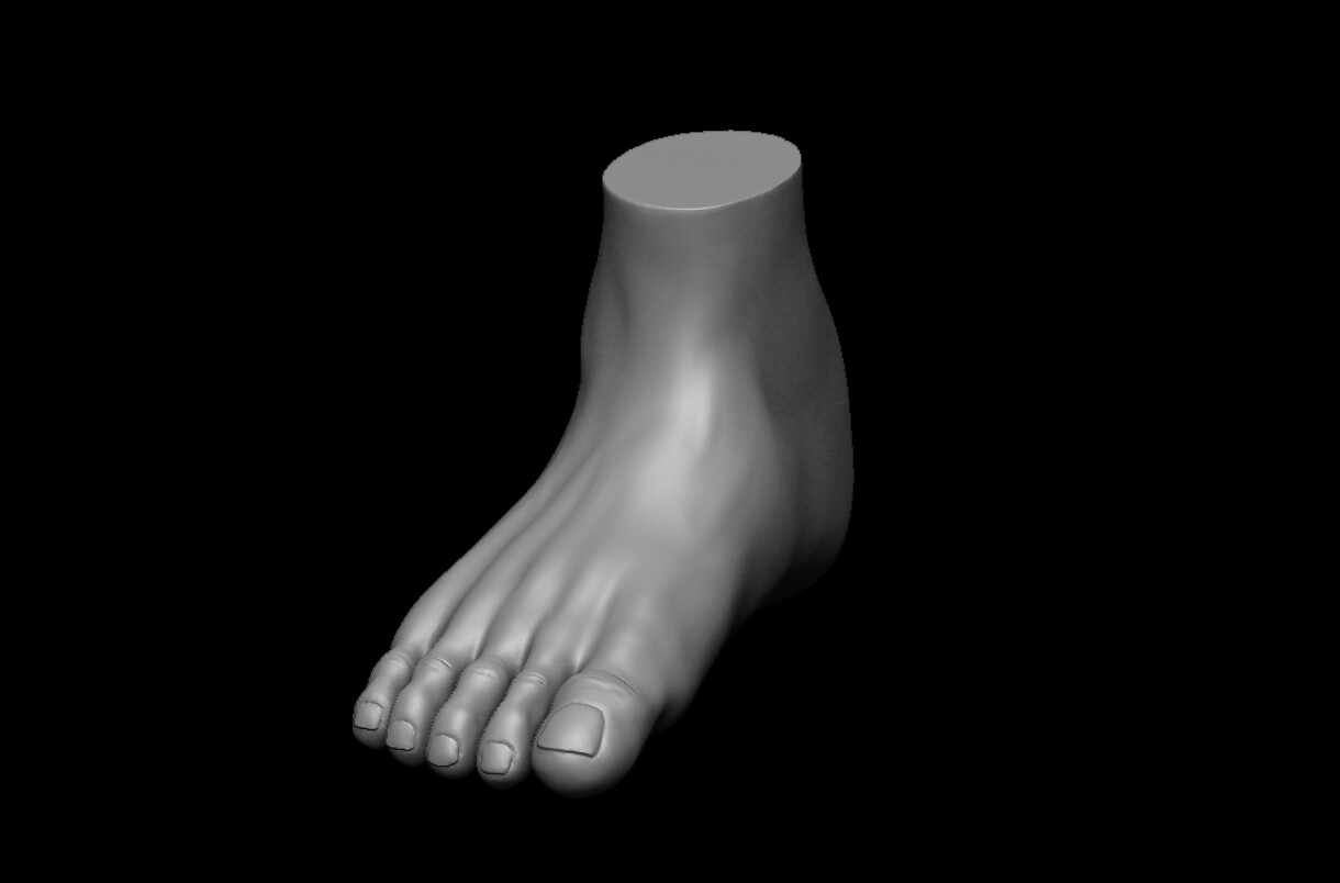 ArtStation - Free Foot highpoly | Resources