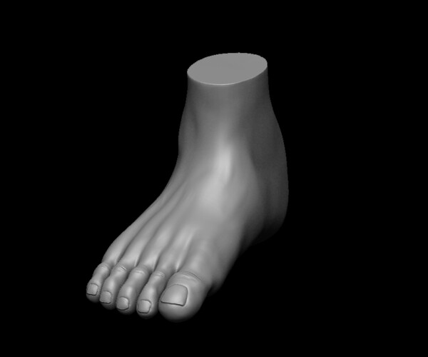 ArtStation - Free Foot highpoly | Resources