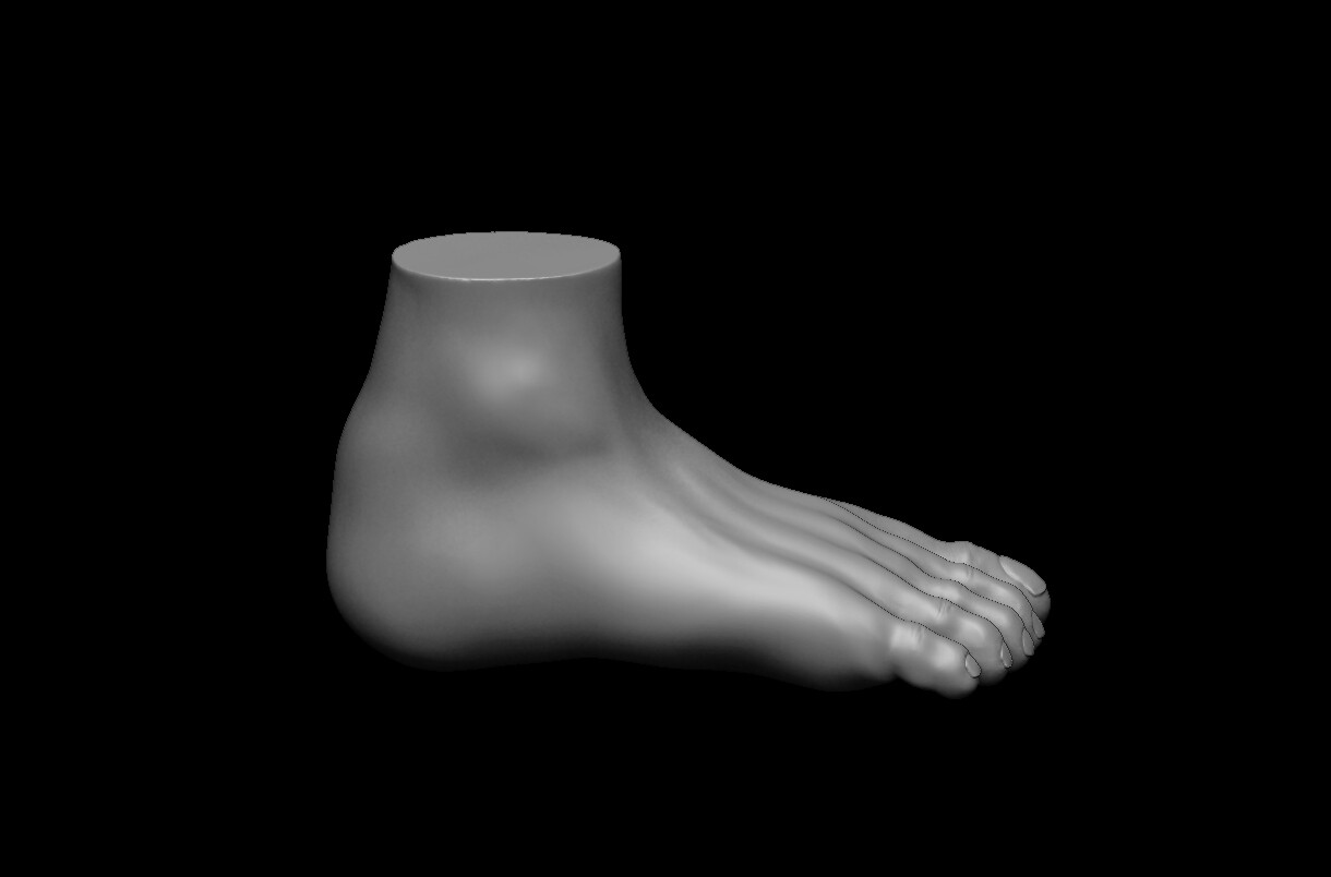 ArtStation - Free Foot highpoly | Resources