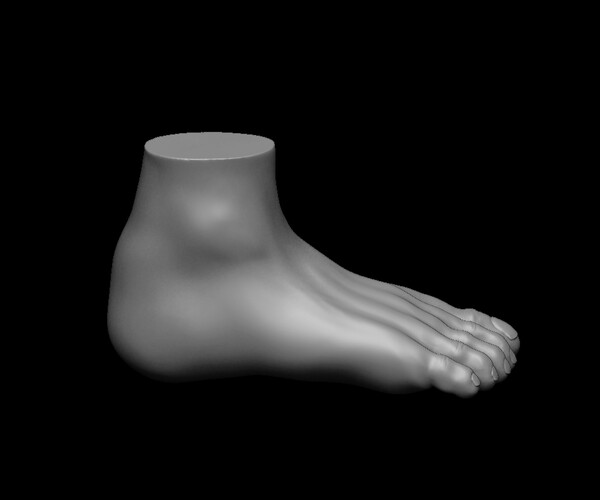 ArtStation - Free Foot highpoly | Resources