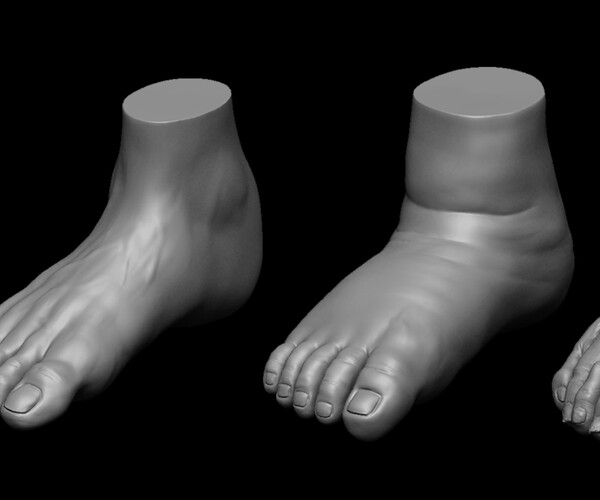 ArtStation - 4 different feet with high poly 3D model | Resources