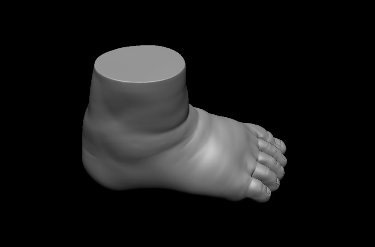ArtStation - 4 different feet with high poly 3D model | Resources