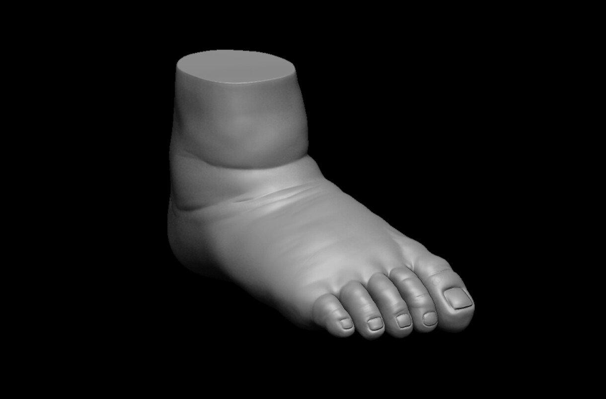 ArtStation - 4 different feet with high poly 3D model | Resources