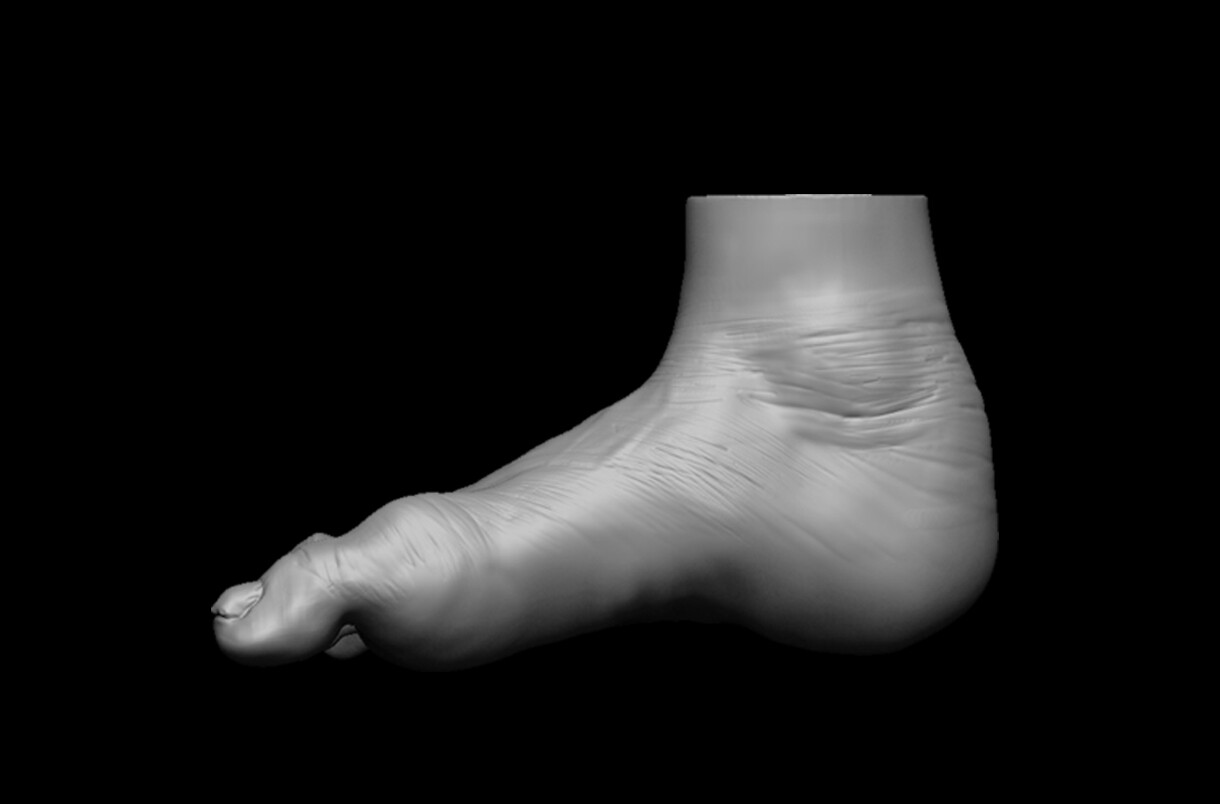 ArtStation - 4 different feet with high poly 3D model | Resources