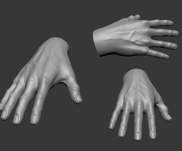 ArtStation - Male Hand 3D model | Game Assets