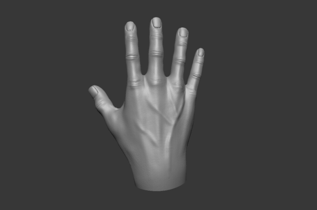 ArtStation - Male Hand 3D model | Game Assets