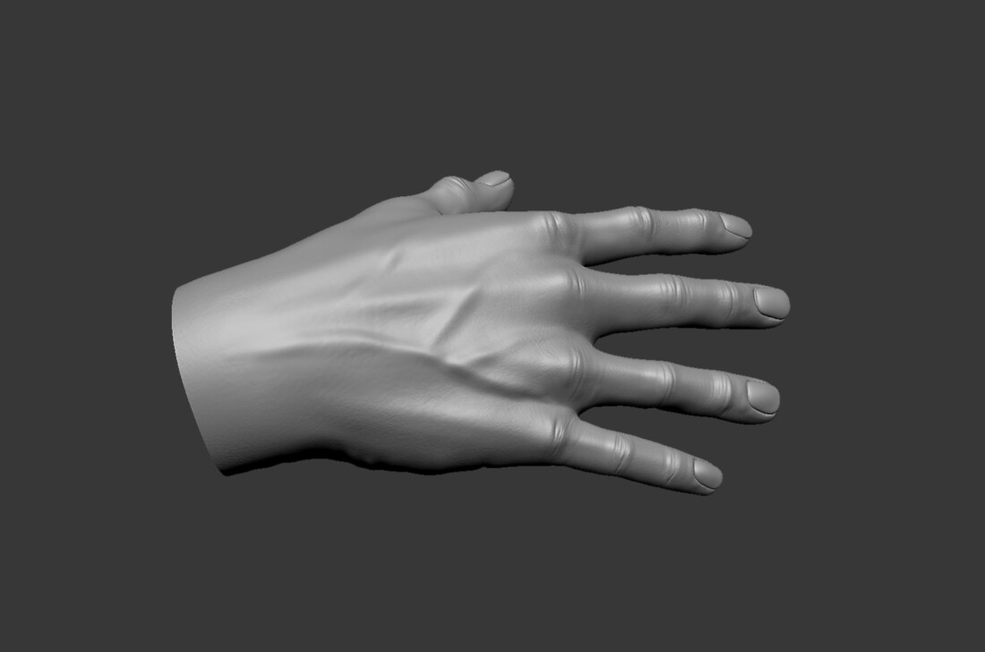 ArtStation - Male Hand 3D model | Game Assets