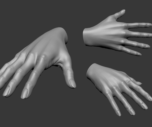 ArtStation - Female Hand 3D model | Resources