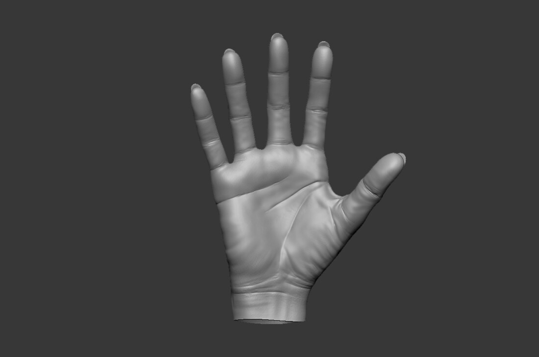 ArtStation - Female Hand 3D model | Resources