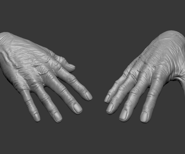 ArtStation - Old Human Hand 3D model | Resources