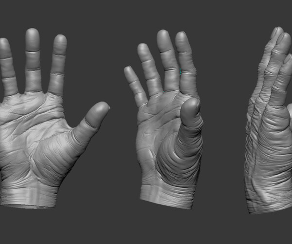 ArtStation - Old Human Hand 3D model | Resources