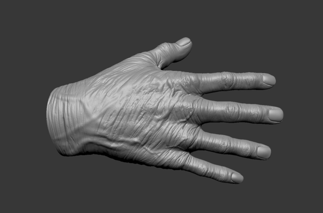 ArtStation - Old Human Hand 3D model | Resources