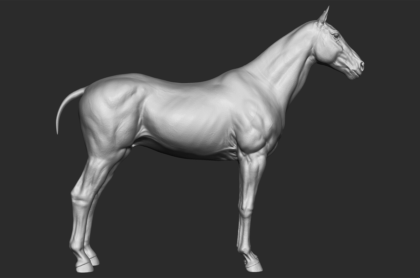 ArtStation - Realistic Horse - Sculpt | Resources