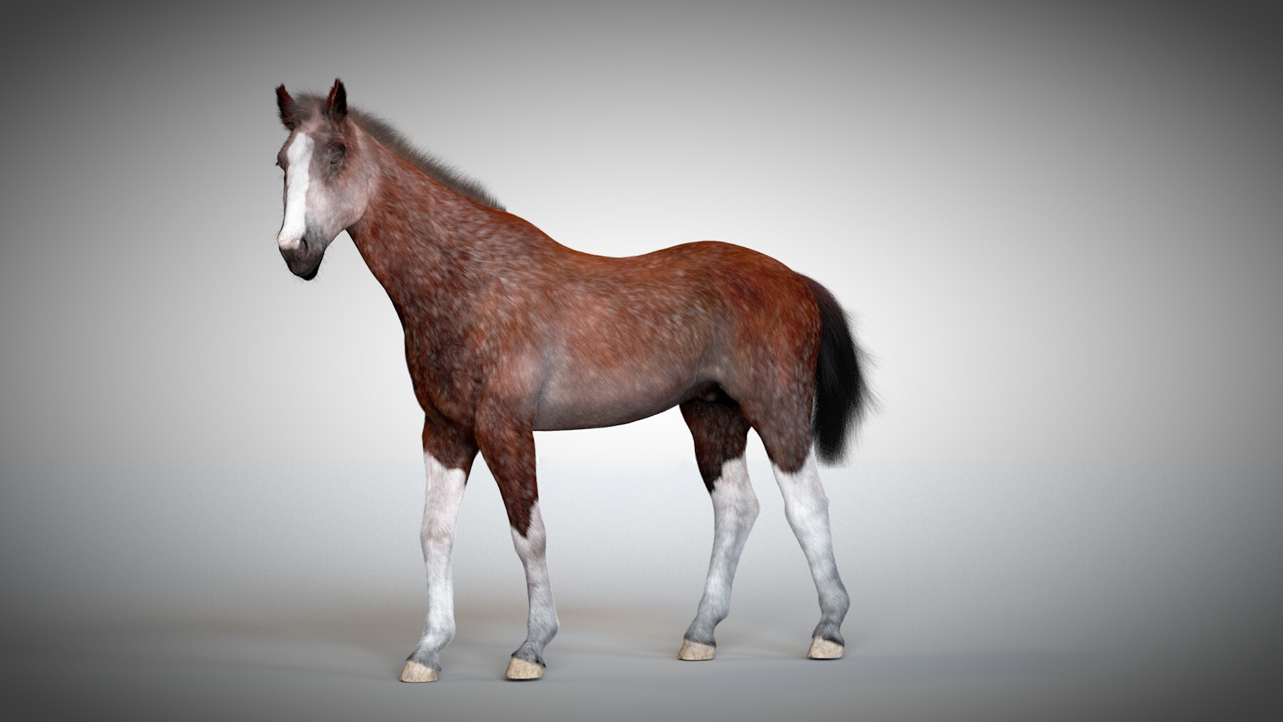 ArtStation - Stallion - Rigged & Animated Horse | Resources