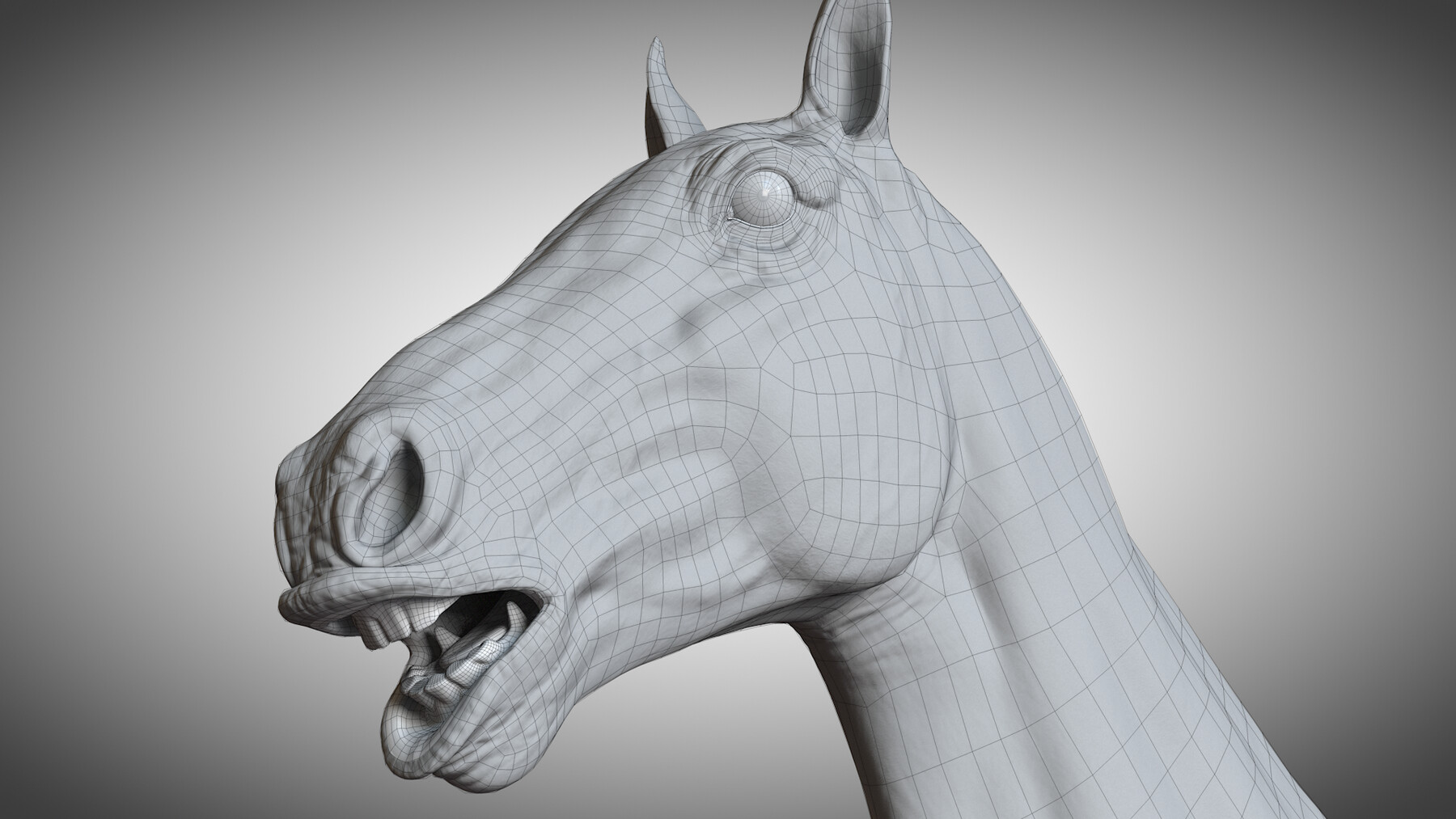 ArtStation - Stallion - Rigged & Animated Horse | Resources