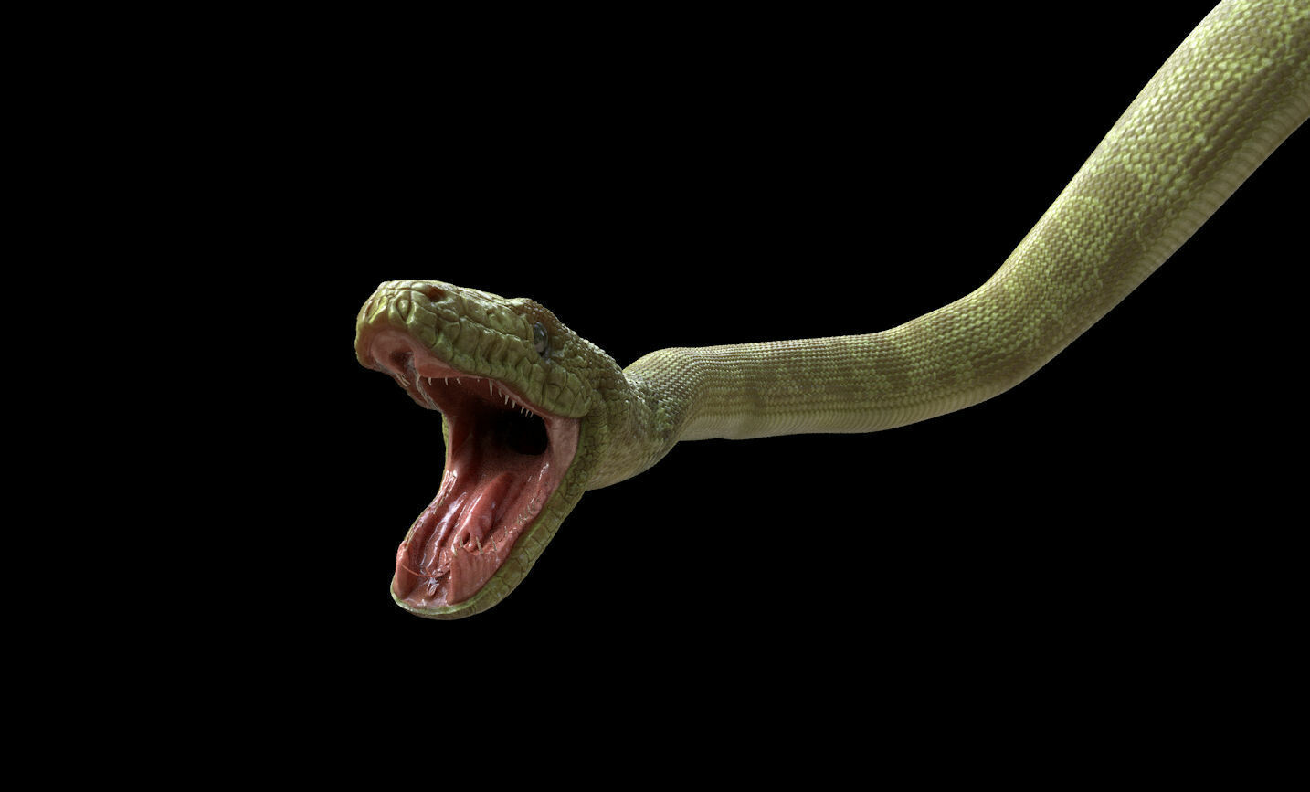 ArtStation - Green Boa | Game Assets