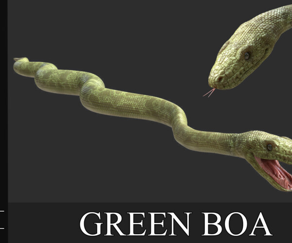 ArtStation - Green Boa | Game Assets