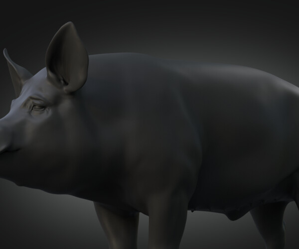 ArtStation - FREE 3D Animal | DomesticPig Male | Resources
