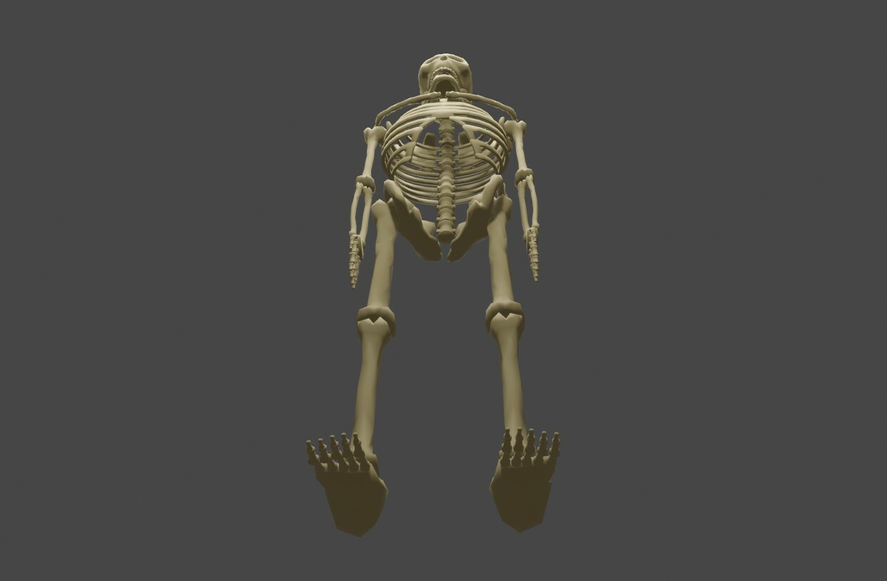ArtStation - Basic Skeleton - Skull - Esqueleto 3D model | Game Assets