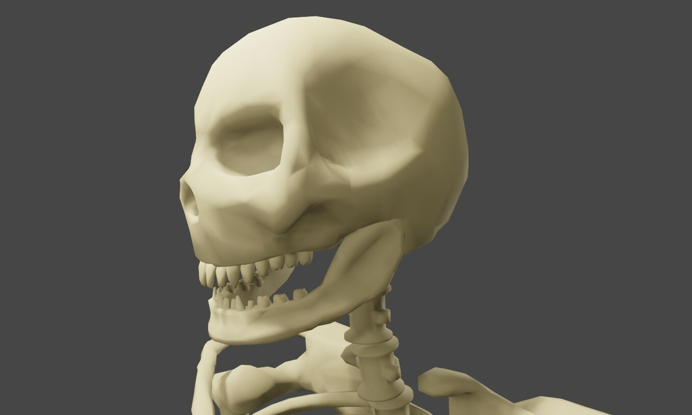 ArtStation - Basic Skeleton - Skull - Esqueleto 3D model | Game Assets