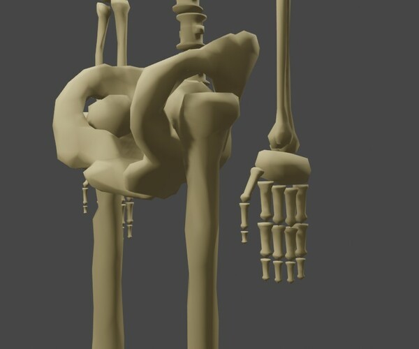 ArtStation - Basic Skeleton - Skull - Esqueleto 3D model | Game Assets