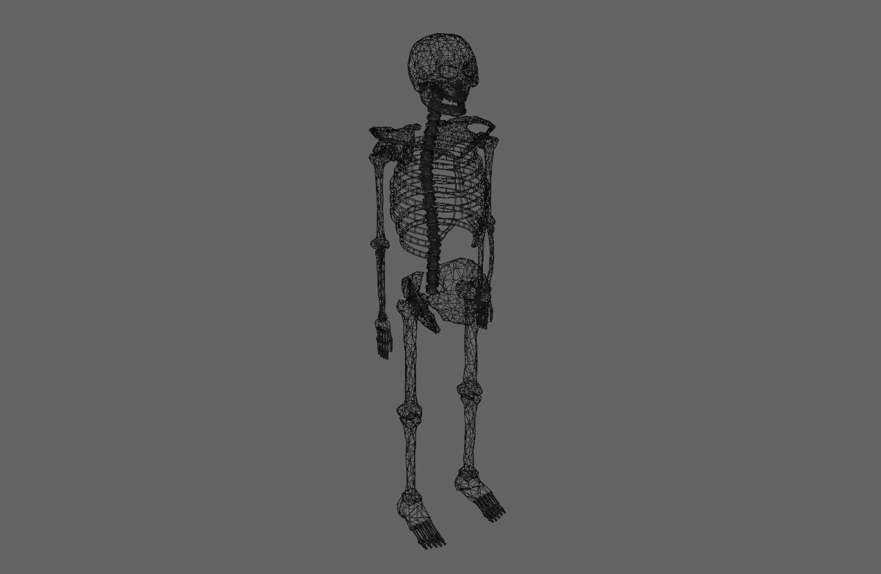 ArtStation - Basic Skeleton - Skull - Esqueleto 3D model | Game Assets