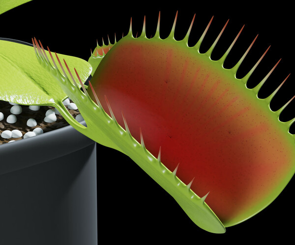 ArtStation - 3D Venus flytrap | Resources
