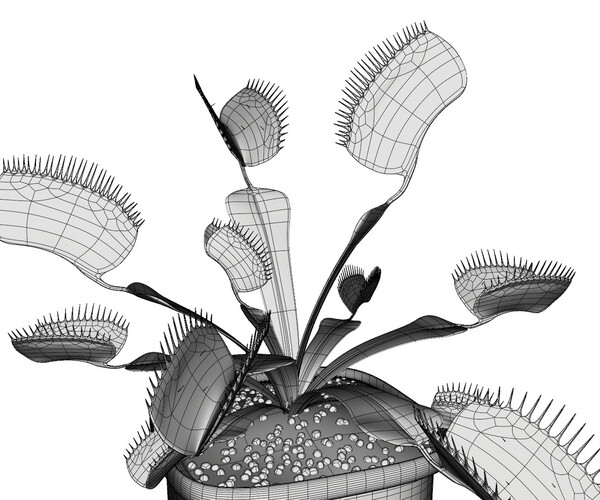 ArtStation - 3D Venus flytrap | Resources