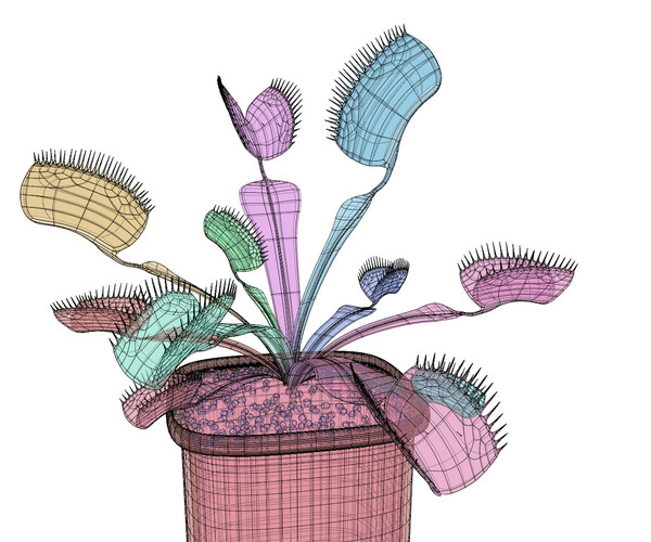 ArtStation - 3D Venus flytrap | Resources
