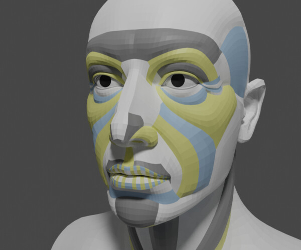 ArtStation - Generic head with anatomically based-topology | Resources