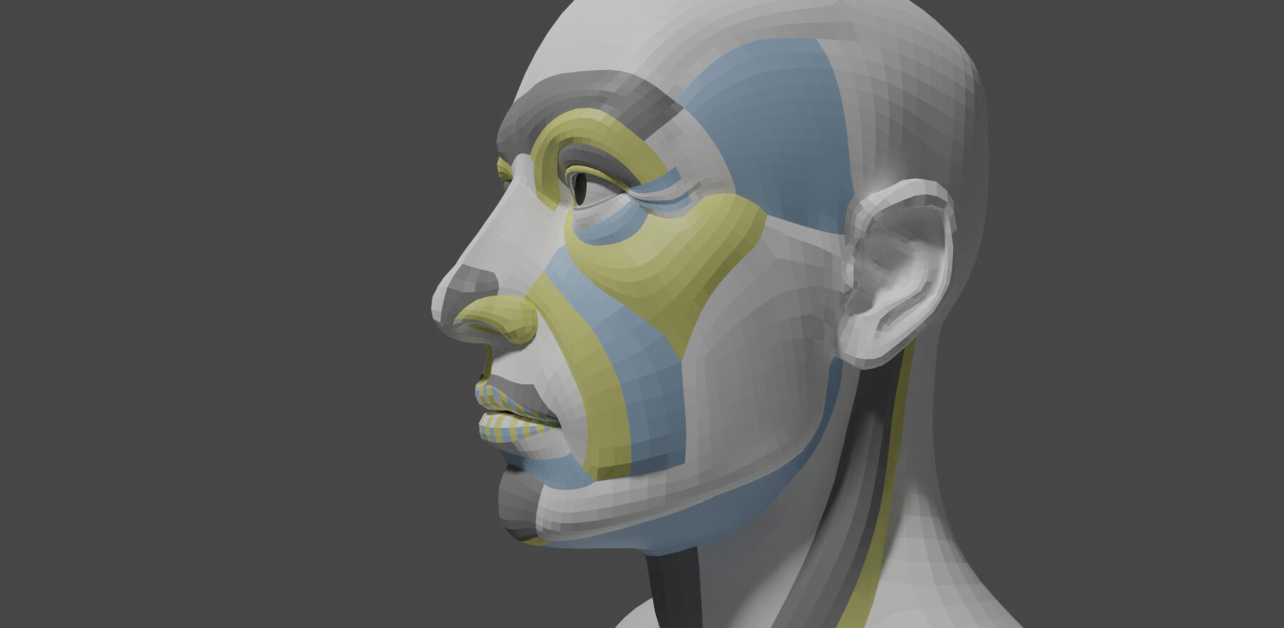 ArtStation - Generic head with anatomically based-topology | Resources