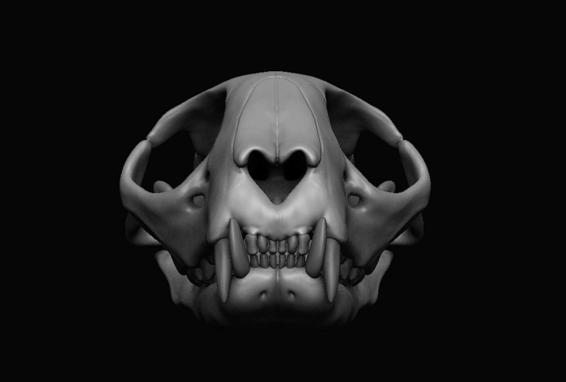 ArtStation - Cat Skull 3D | Resources