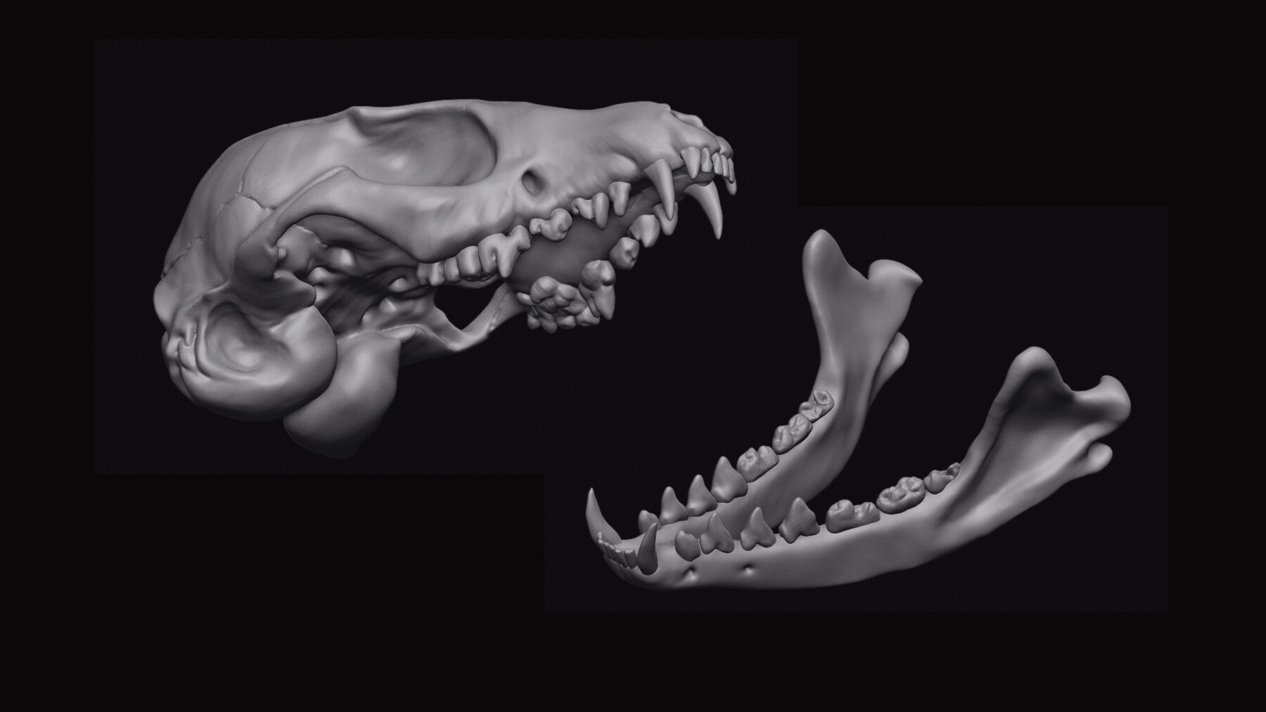 ArtStation - Fox Skull 3D print | Resources