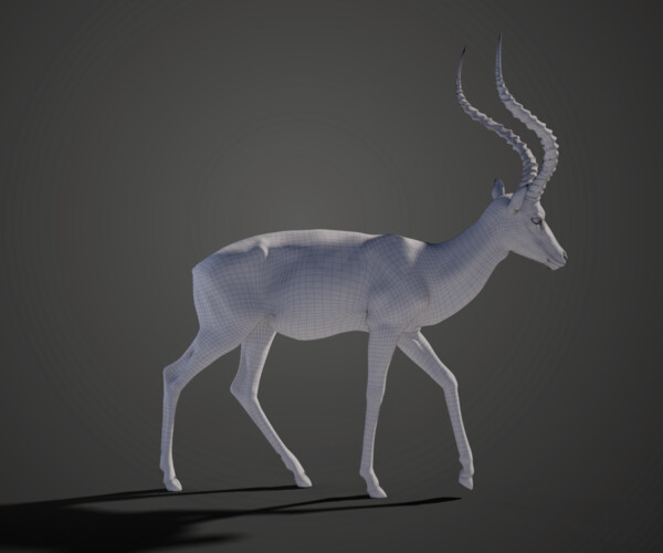 ArtStation - 3D Animal | Impala Animated | Resources