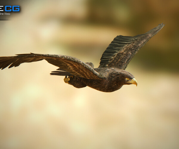ArtStation - Eagles Pack v3 Unity | Game Assets