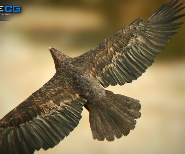 ArtStation - Eagles Pack v3 Unity | Game Assets