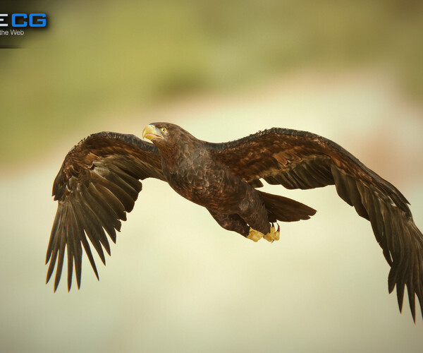 ArtStation - Eagles Pack v3 Unity | Game Assets