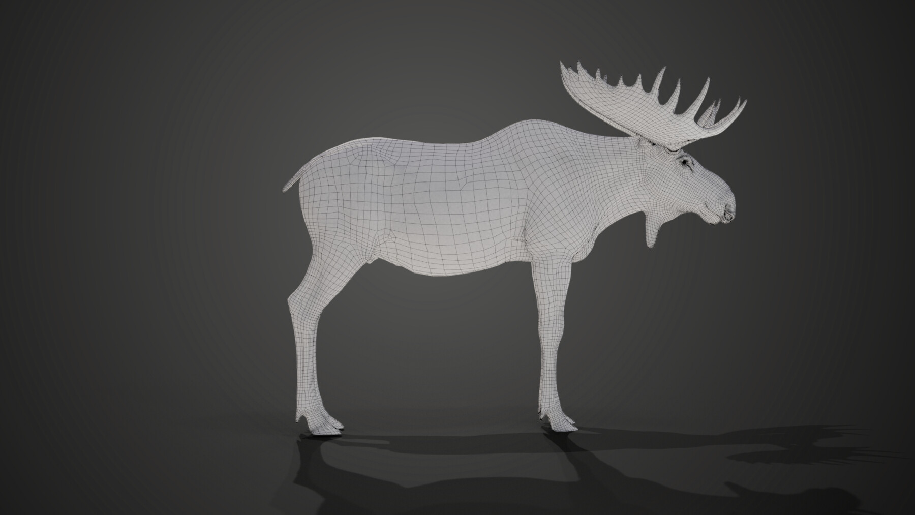 ArtStation - 3D Animal | Moose Male Animated | Resources