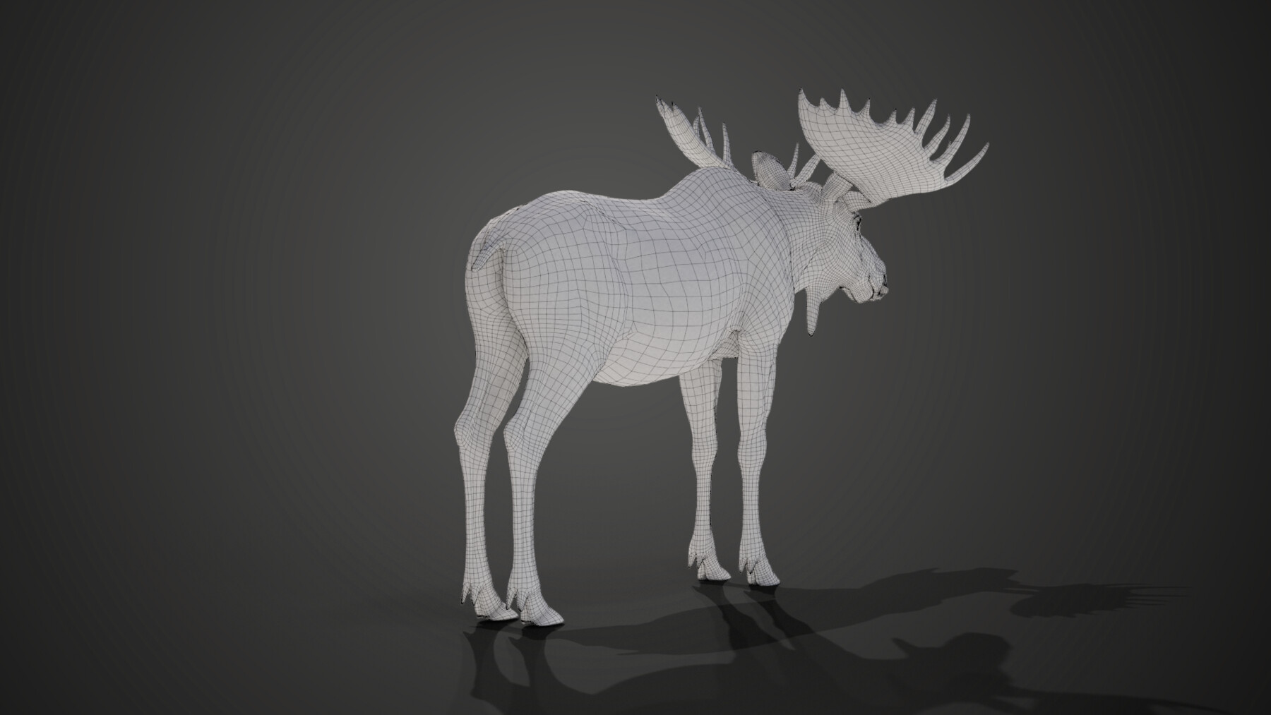 ArtStation - 3D Animal | Moose Male Animated | Resources