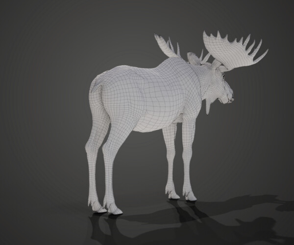 ArtStation - 3D Animal | Moose Male Animated | Resources