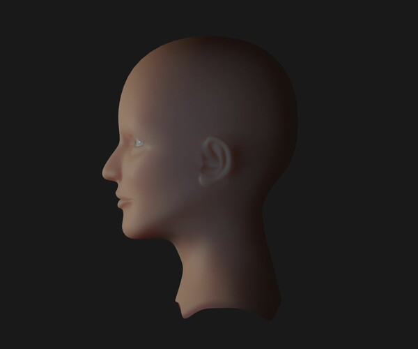 ArtStation - Head Base Mesh | Resources