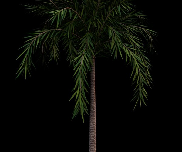 ArtStation - Palm Tree Animated and Rigged Low-poly 3D model | Resources