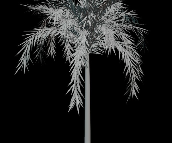 ArtStation - Palm Tree Animated and Rigged Low-poly 3D model | Resources