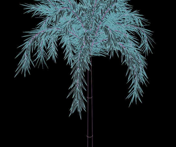 ArtStation - Palm Tree Animated and Rigged Low-poly 3D model | Resources