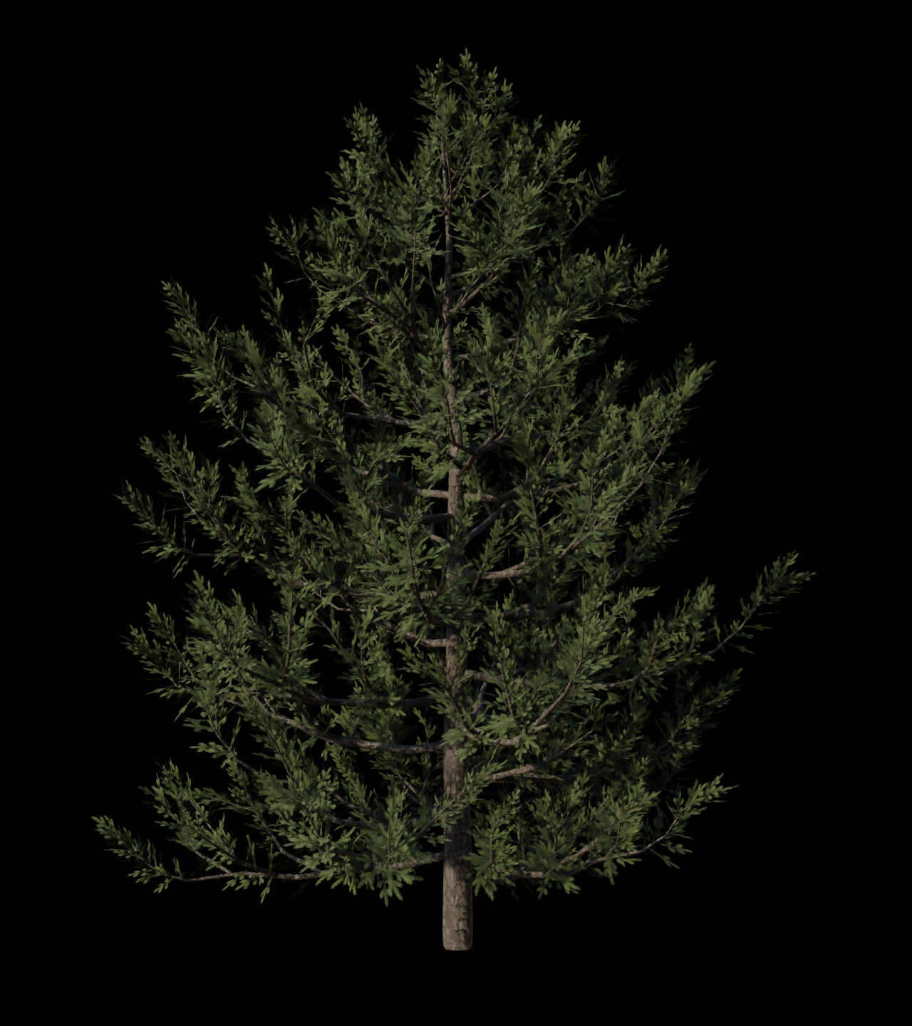 ArtStation - Spruce Tree Animated and Rigged 3D model | Resources