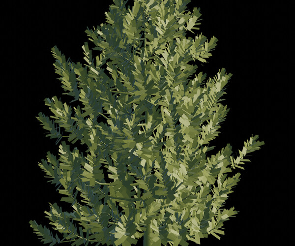 ArtStation - Spruce Tree Animated and Rigged 3D model | Resources